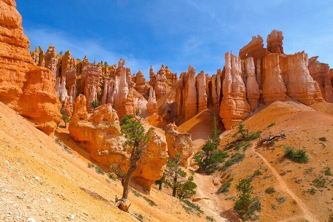 Zion and Bryce Canyon National Park Day Tour from Las Vegas - An Efficient Way to See Zion and Bryce Canyon