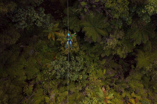 Adventurous Zipline Tour in Coromandel - FAQ - Frequently Asked Questions