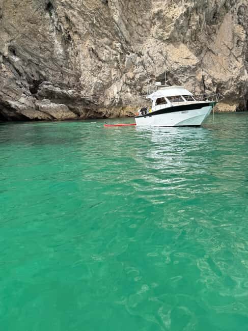 Arrábida - Fantastic dolphin tour