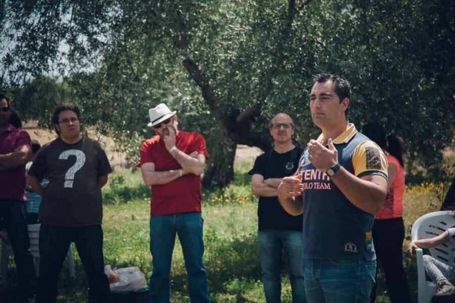 Baeza: Visit to an Organic Olive Grove + Oil Tasting