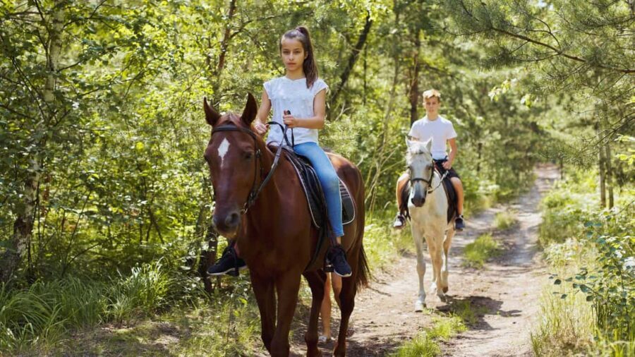 Benevento: Horseback Riding Tour with Aperitif