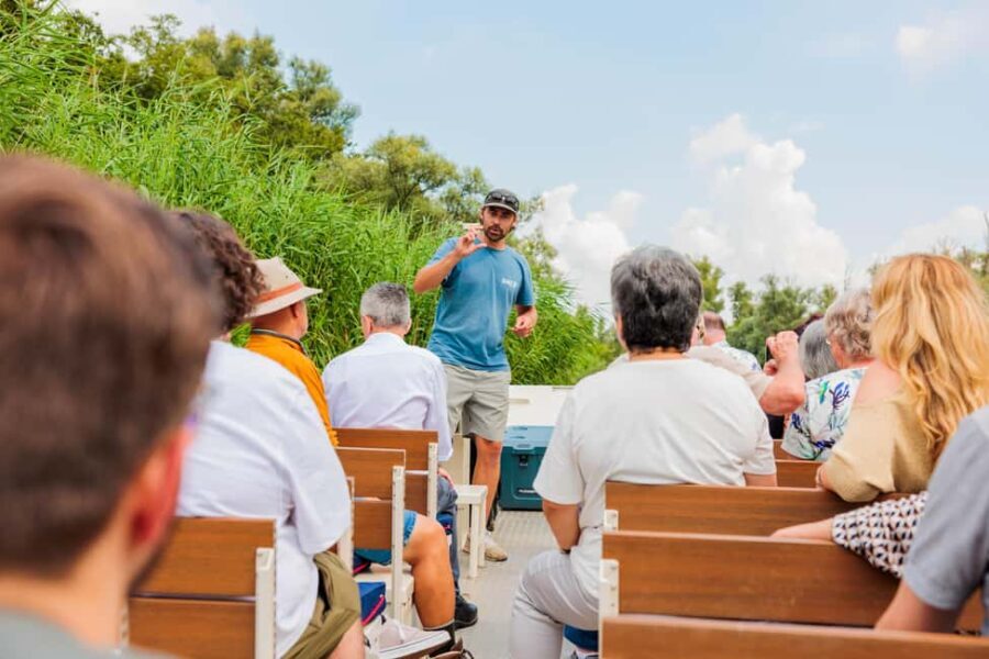 Biesbosch: National Park Cruise
