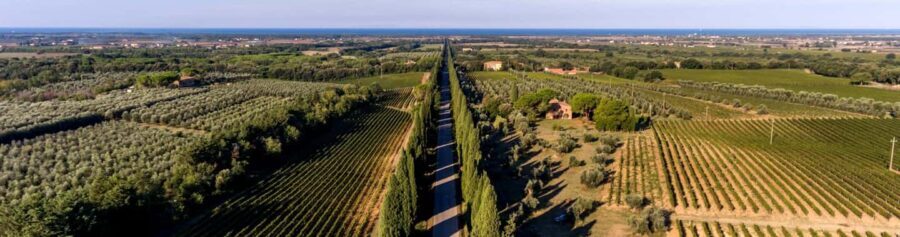 Bolgheri: Guided Walking Tour of the Village