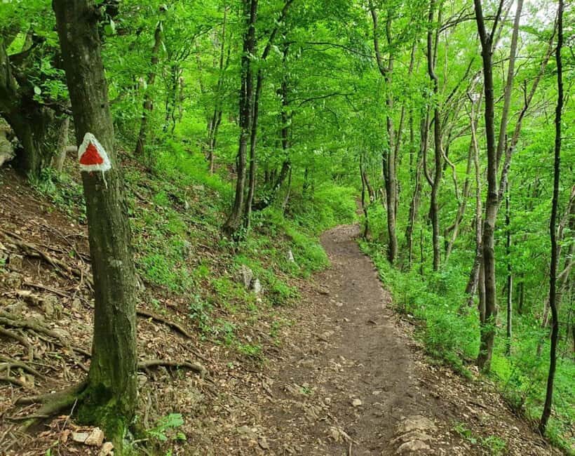 Braov in Focus: A Walking Tour, Hike & Photo Experience