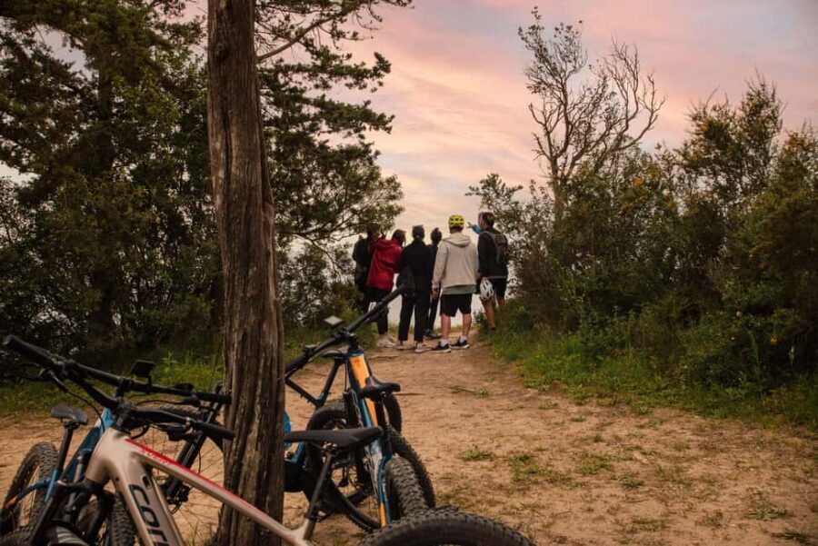 Corfu: E-Bike Tour with Olive Oil Tasting