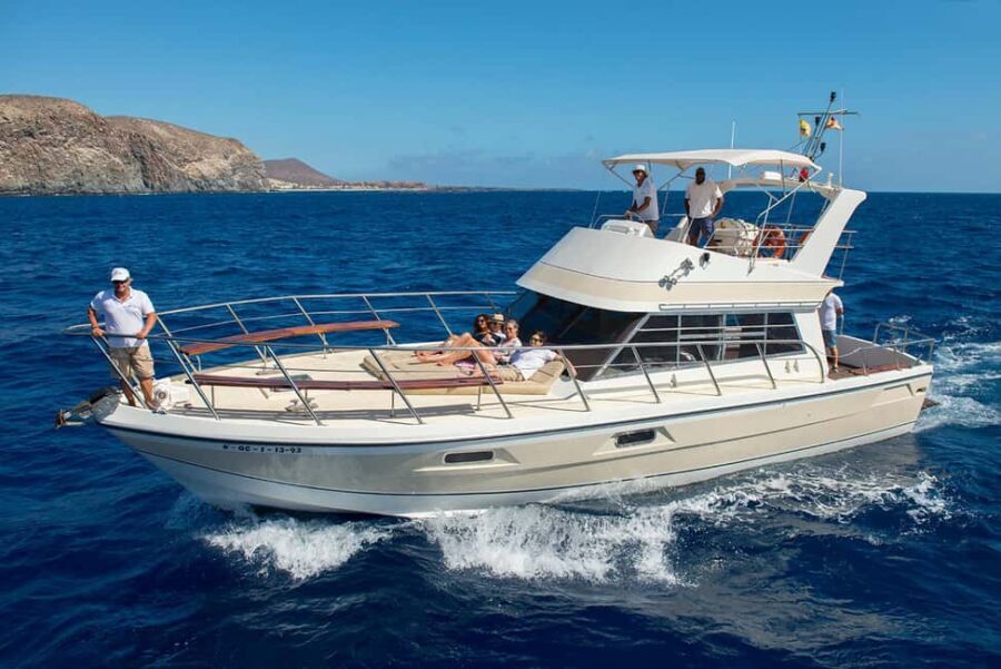 Discover whales in Tenerife: exclusive yacht tour with swimming and lunch.