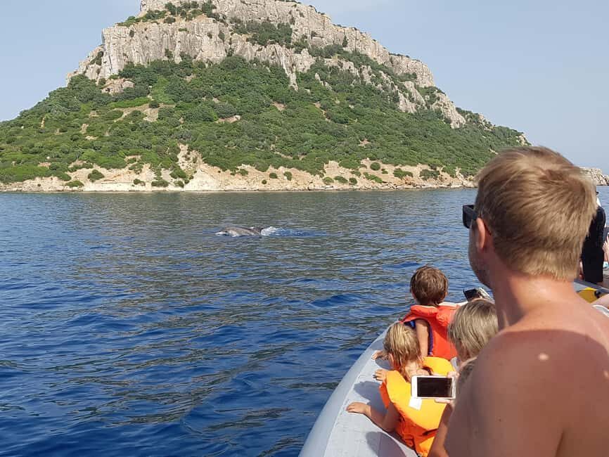 Dolphins: Dolphin Watching Tour and Capo Figari by Raft