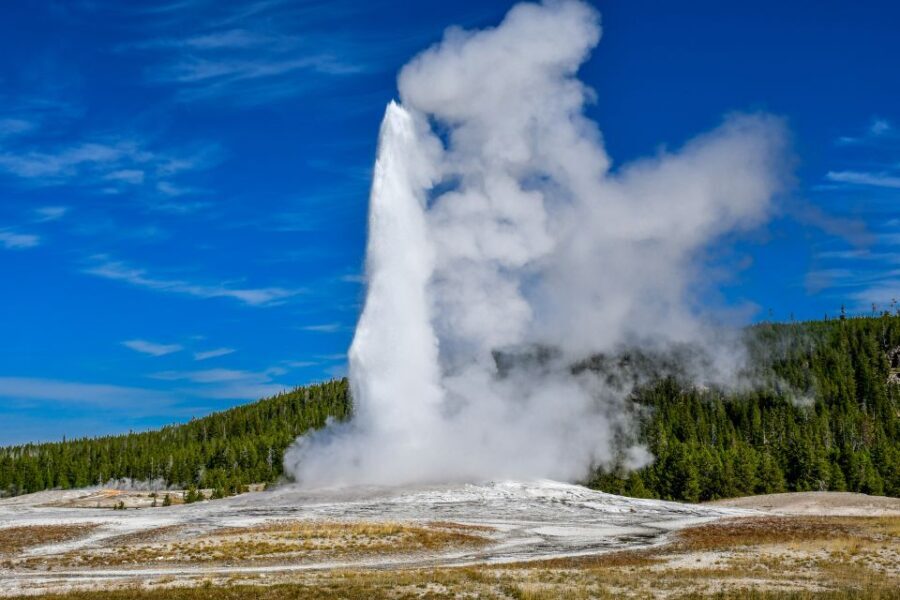From Cody: Full-Day Yellowstone National Park Tour - The Experience of the Guides and Group Dynamics