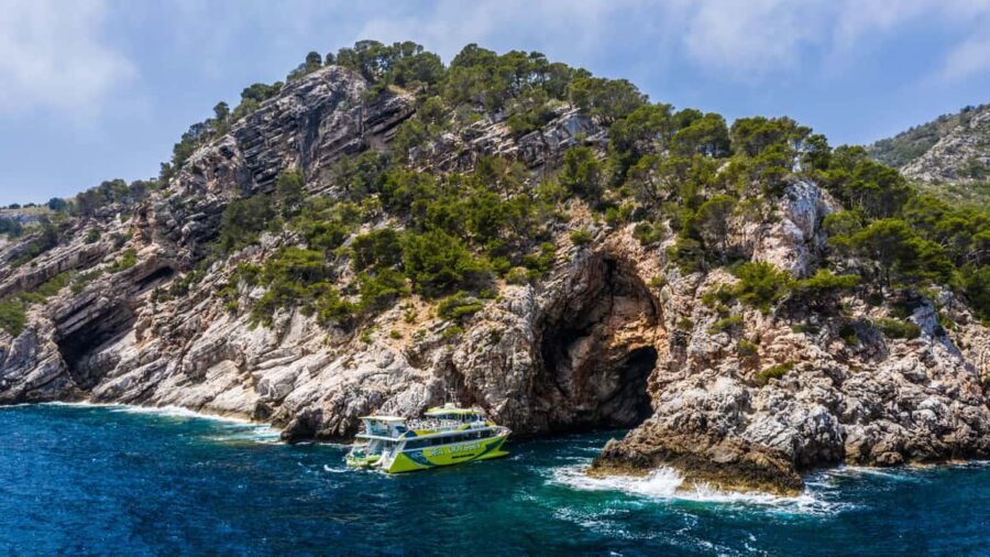From Sa Coma: East Coast Glass Bottom Boat Trip - Who Will Enjoy This Tour?