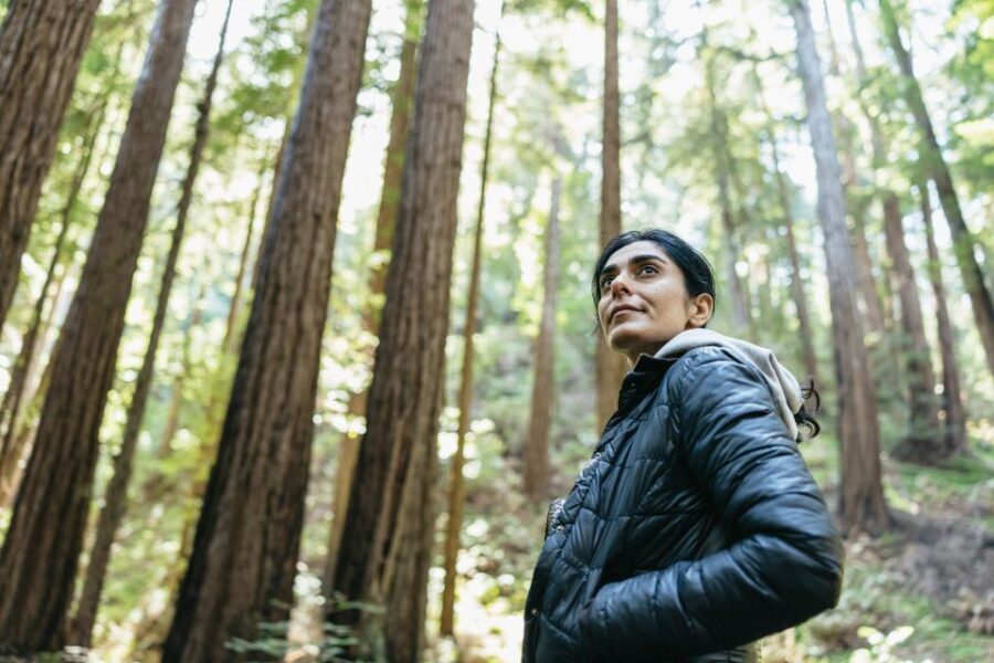 From San Francisco: Guided Muir Woods Tour - The Experience Step-by-Step