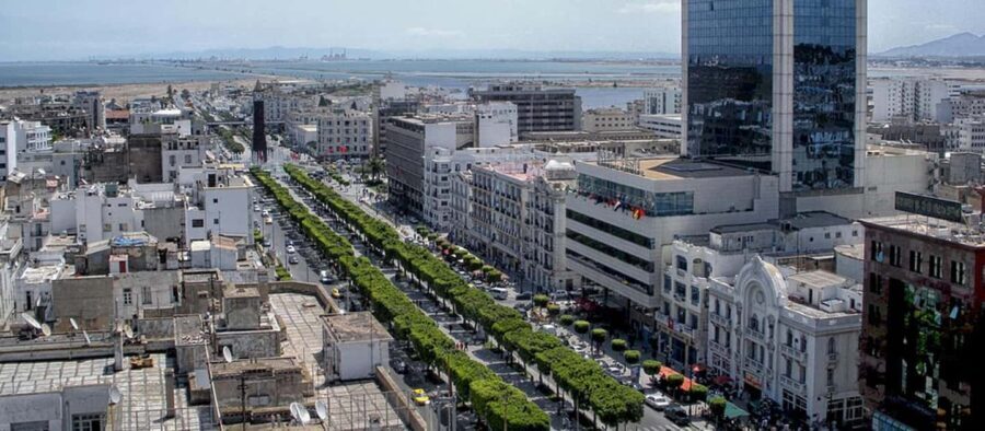 From Tunis/Sousse: Medina Carthage, Sidi Boussaid Tour - What You Get for the Price