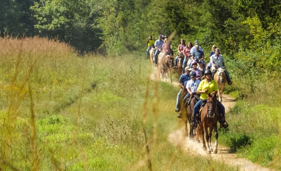 Gettysburg: Licensed Guided Battlefield Horseback Tour - The Practicalities: Price, Duration, and Booking