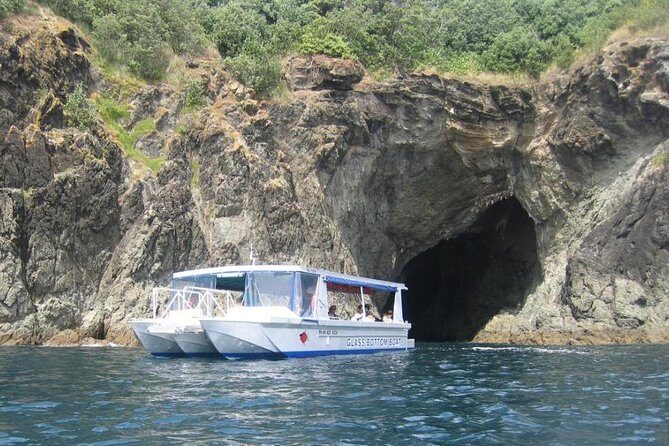 Glass Bottom Boat Tour - Who Would Love This Tour?