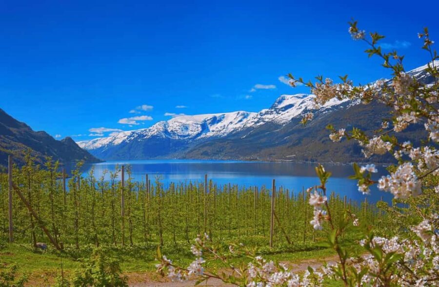 Guided tour: Hardangerfjord, Waterfalls and Ferry crossing