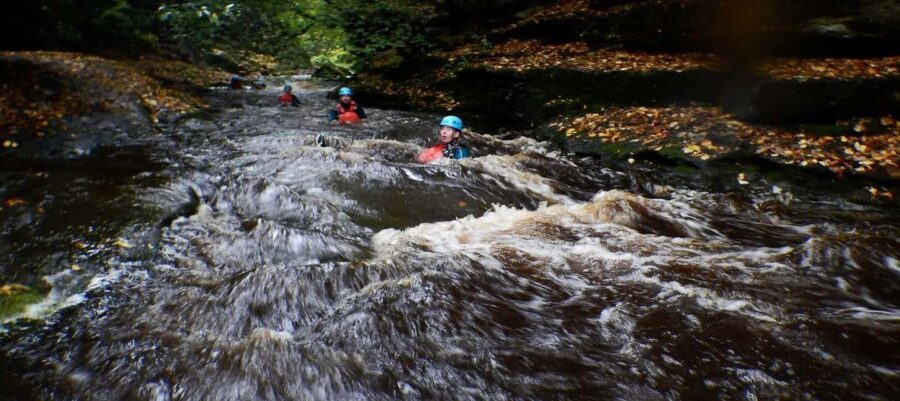 Harrogate: How Stean 3 in 1 Experience