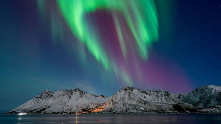 Henningsvær: Northern Lights Tour with Photographer - Who Will Love This Tour?