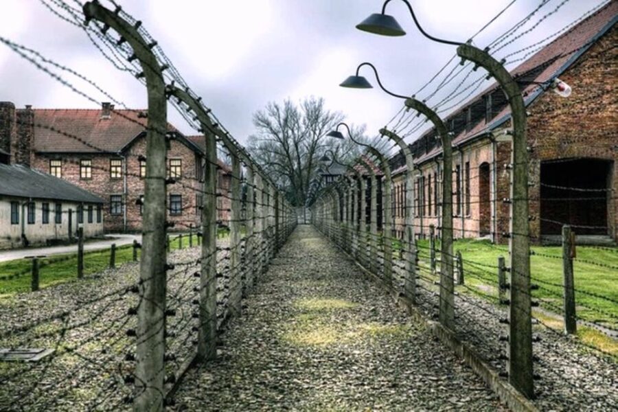 Krakow:Guided Auschwitz-Birkenau Tour - Transport by Minivan - Transportation and Logistics: Why They Matter