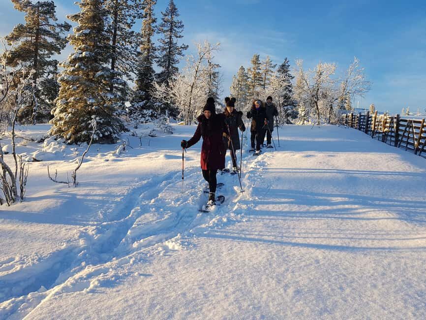 Levi: Gentle Snowshoe Walk in Winter Wilderness
