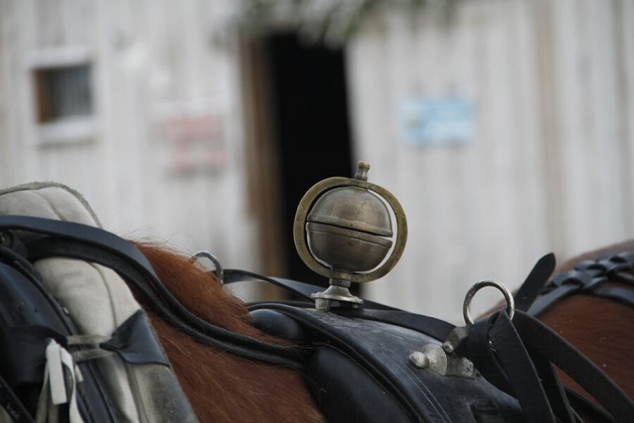 Levi: One Horse Open Sleigh Ride