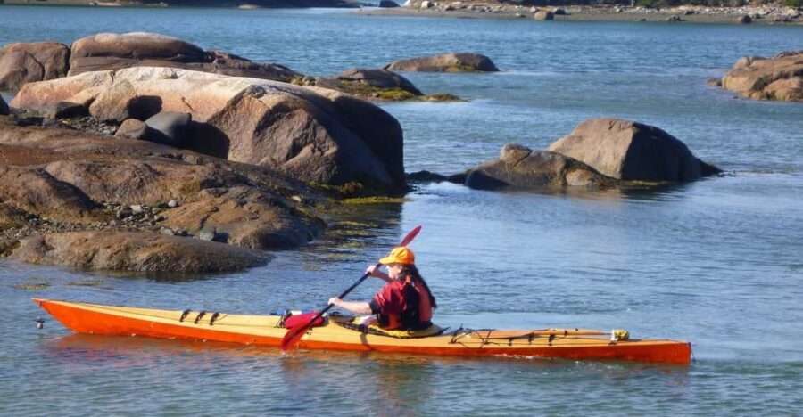 Maine: Penobscot River Guided Kayaking Tour - The Itinerary and What to Expect