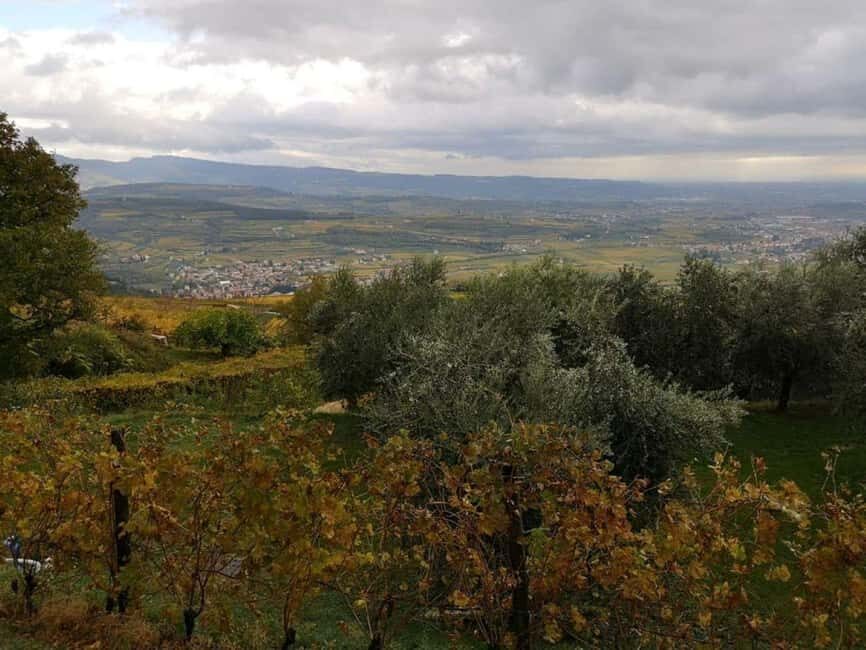 Mazzurega: Winery Tour with Tasting and Food Pairing