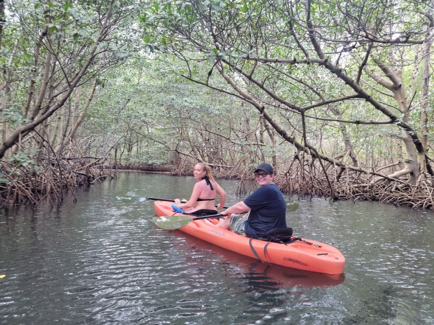 Miami: Beginner-Friendly Island Snorkeling by SUP or Kayak - Detailed Breakdown of the Experience