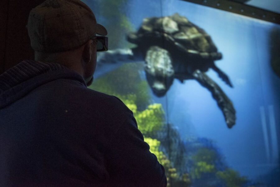 Moab: Moab Giants Dinosaur Park and Museum Entrance Ticket - What to Expect During Your Visit