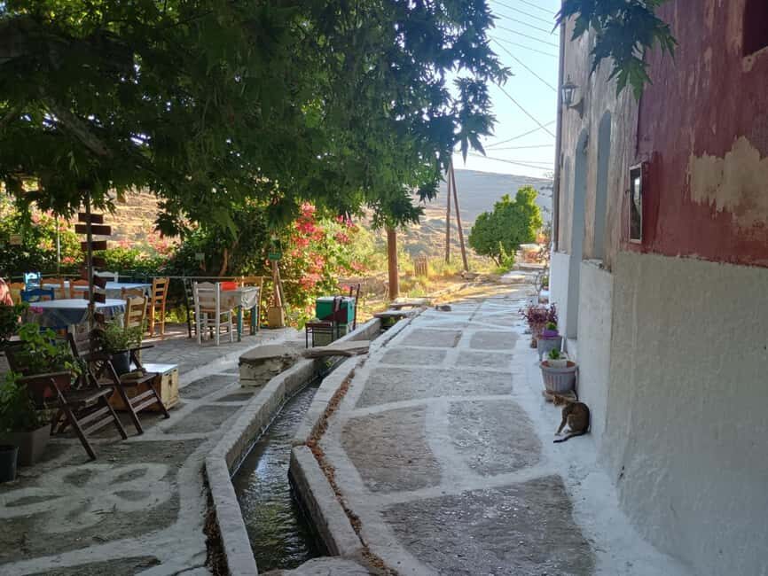Myli: Beekeeping Secrets Guided Tour with Traditional Meze