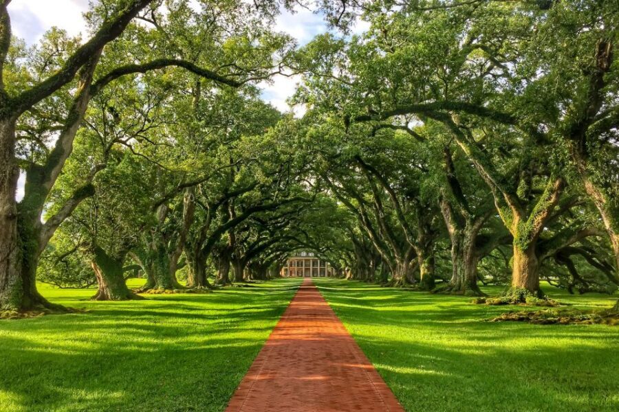 New Orleans: Oak Alley Plantation Tour with Transportation - The Big House Tour