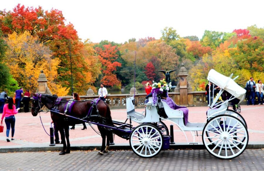 NYC: Central Park Horse-Drawn Carriage Ride (up to 4 Adults) - Breakdown of the Itinerary and Landmark Highlights
