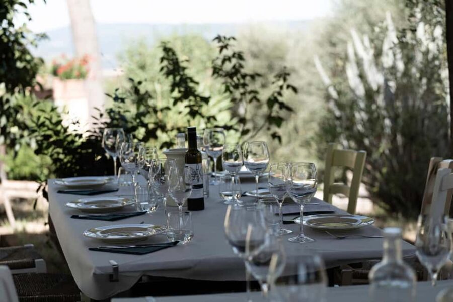Orvieto: Classic Wine Tasting at Madonna del Latte