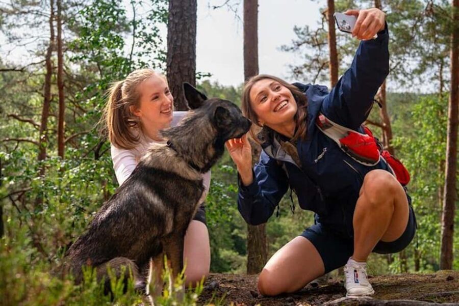Oslo: Forest Hike with Guide & Husky