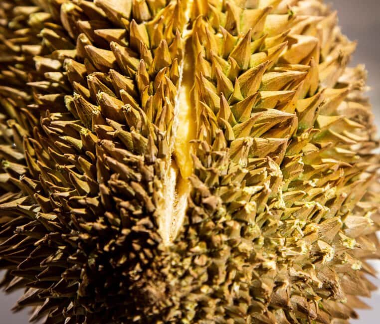 Palma de Mallorca: Disgusting Food Museum Entry Ticket