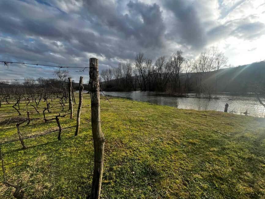 Podgorica: Panoramic Wine Tasting & Snack