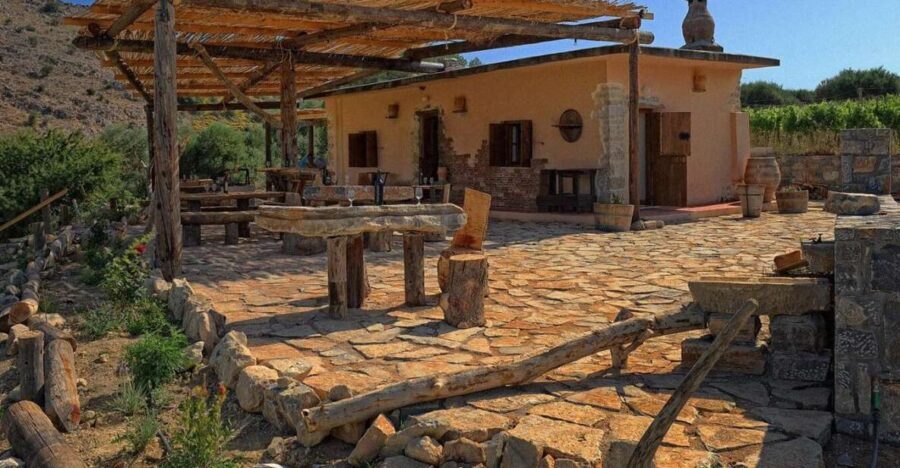 Private Wine Tour - What You Can Expect from the Tour