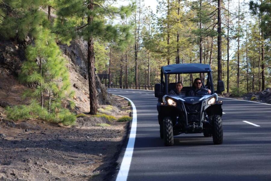 Puerto de la Cruz: Buggy Teide Sunset National Park