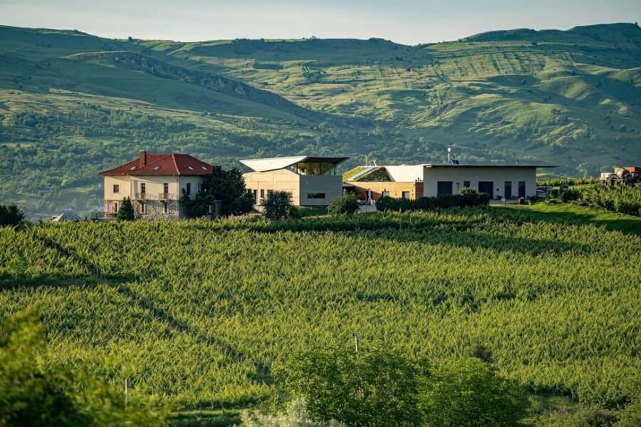 Salt Mine, Lunch at Winery & Dracula's Tomb - Small Group 7p