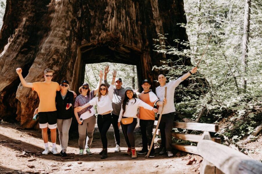 San Jose: Yosemite National Park and Giant Sequoias Trip - What Does the Tour Include and Exclude?