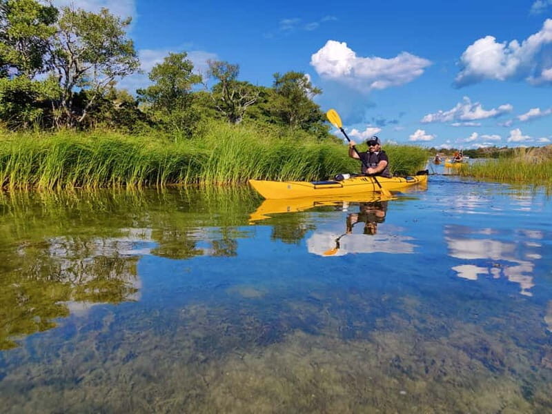 Stockholm Archipelago: Fun-Day Kayaking with Island Lunch