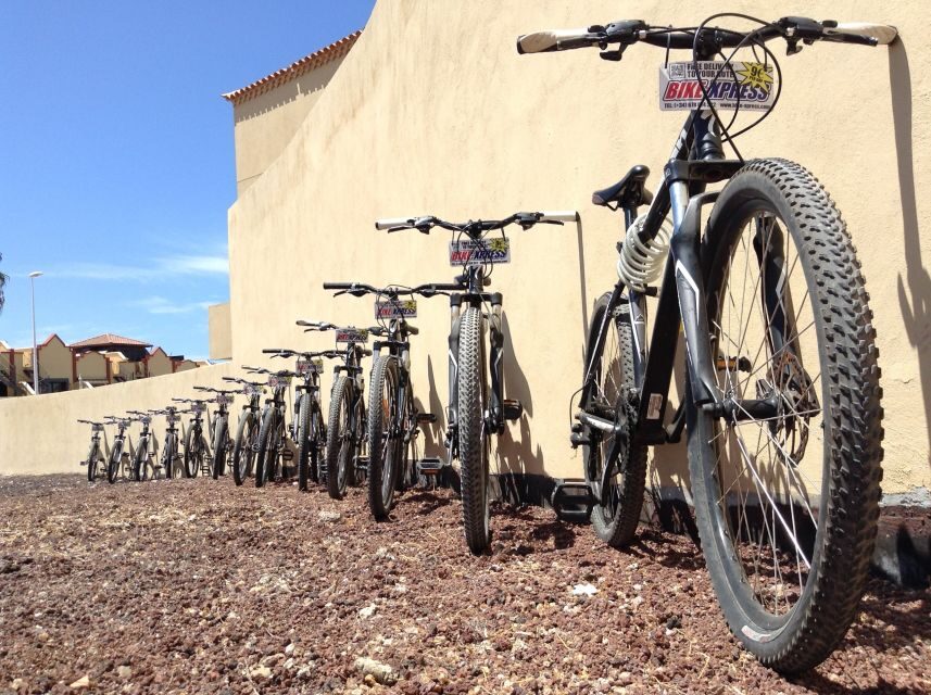 Tenerife: Mountain Bike Rental with Hotel Delivery