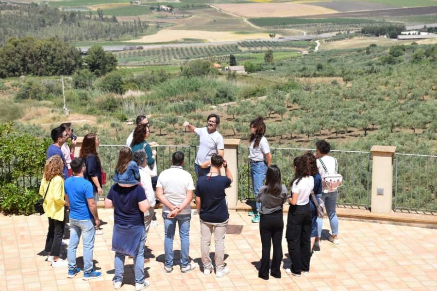 Trapani: Organic Wine Tasting with the Producer