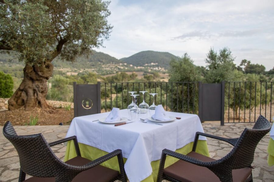 Treurer: Tapas Gourmet and Extra Virgin Olive Oil - FAQ