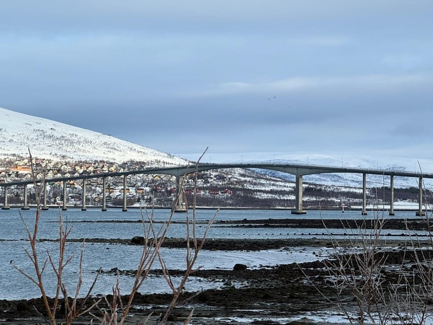 Tromsø: Aurora Tour with Guide and Photos - Max. 15 ppl