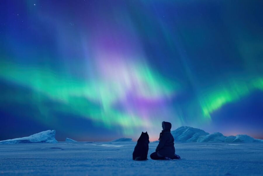 Tromsø: Northern Lights by Bus with Professional Photography