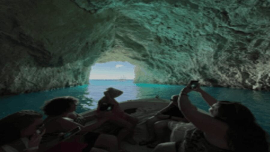 Turtle Cruise from 9 am or 12 noon or 3 pm for 3 hours