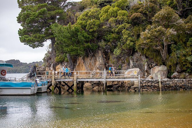 Ulva Island Explorer from Stewart Island - Authentic Experiences and Practical Considerations