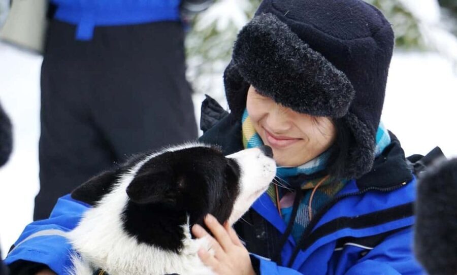 Vuokatti: Husky Sled Ride with Hot Berry Juice & Biscuits