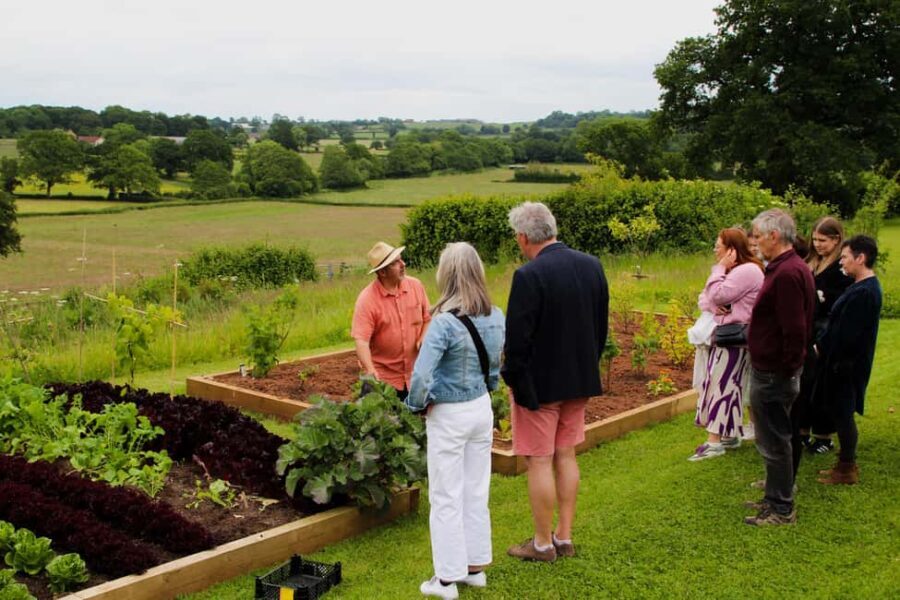 Wine & Cheese in the Somerset Valleys - with Michelin lunch