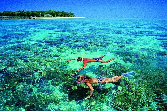 4-Day Cairns with Great Barrier Reef and Daintree Rainforest - What Does This Tour Offer in Terms of Value?