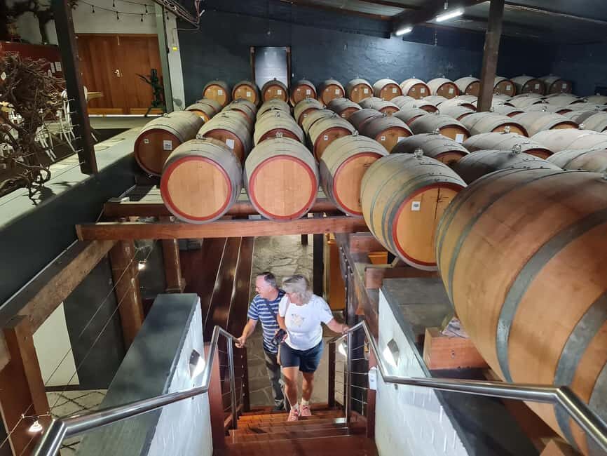 Adelaide Cruise Ship: Koalas & Penfolds & Heritage Day Tour - Value and Practicalities